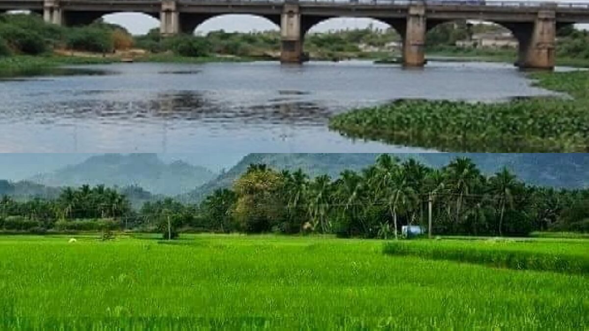 நெல்லைக்கு கிடைத்த இன்னொரு பெருமை!